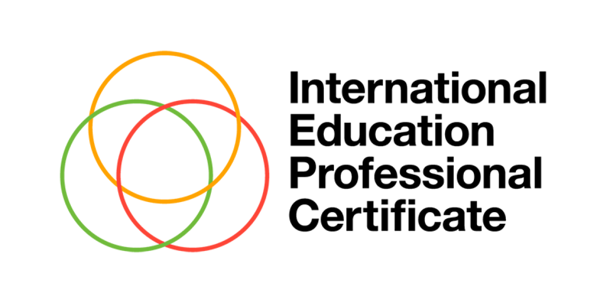 International Education Professional Certificate | NAFSA